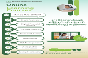 MMFA Online Learning (LMS)